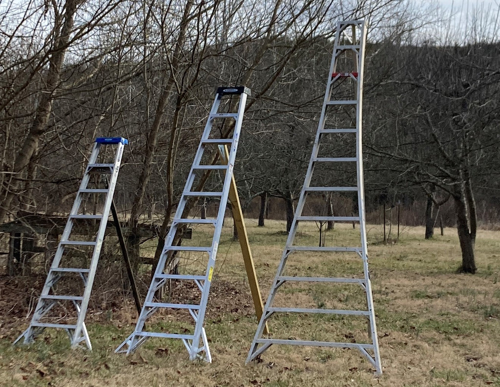 WHY FARM? – Rockbridge Cider Vinegar